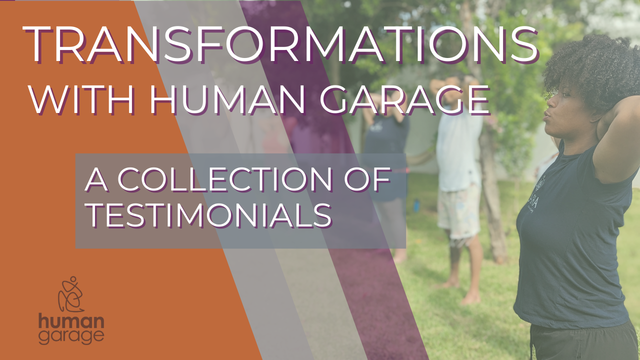 Transformations With Human Garage - Human Garage